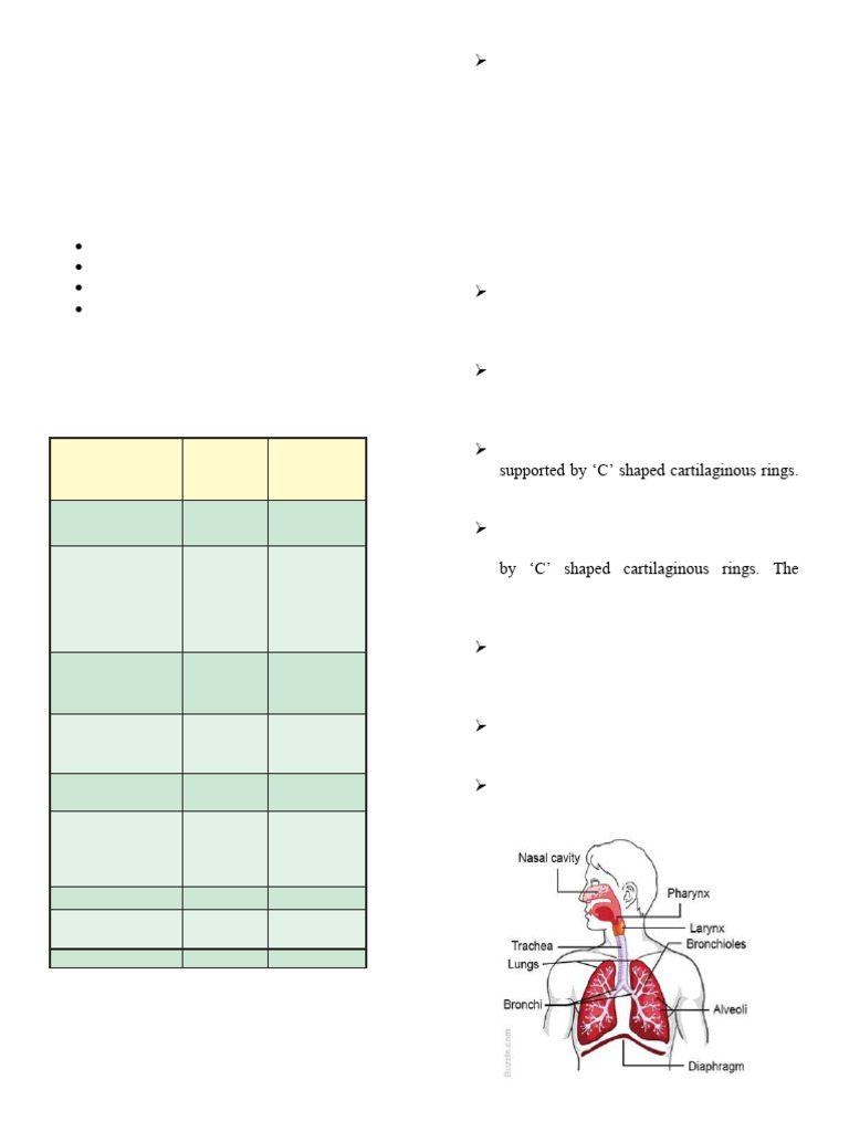 Respiration and Cirulation | PDF