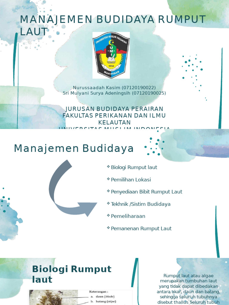 Budidaya Rumput Laut | PDF