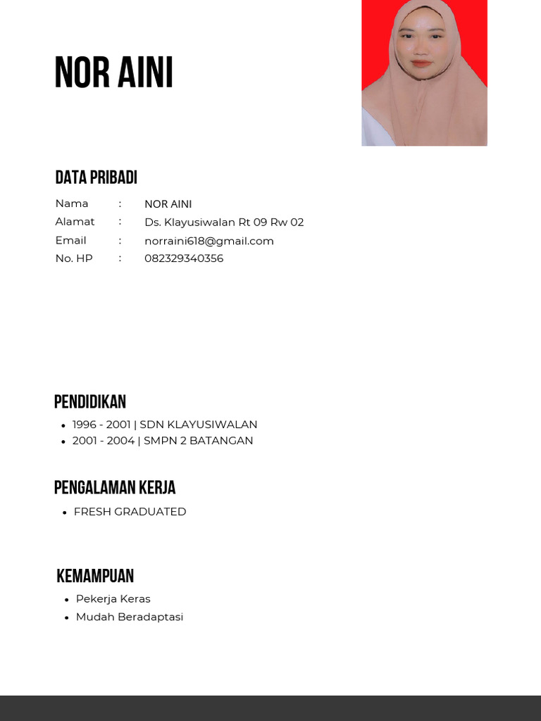 CV Norr Aini | PDF