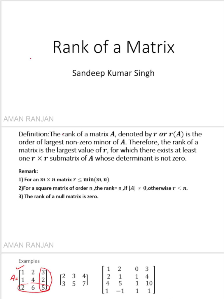 Matrix Full Notes | PDF