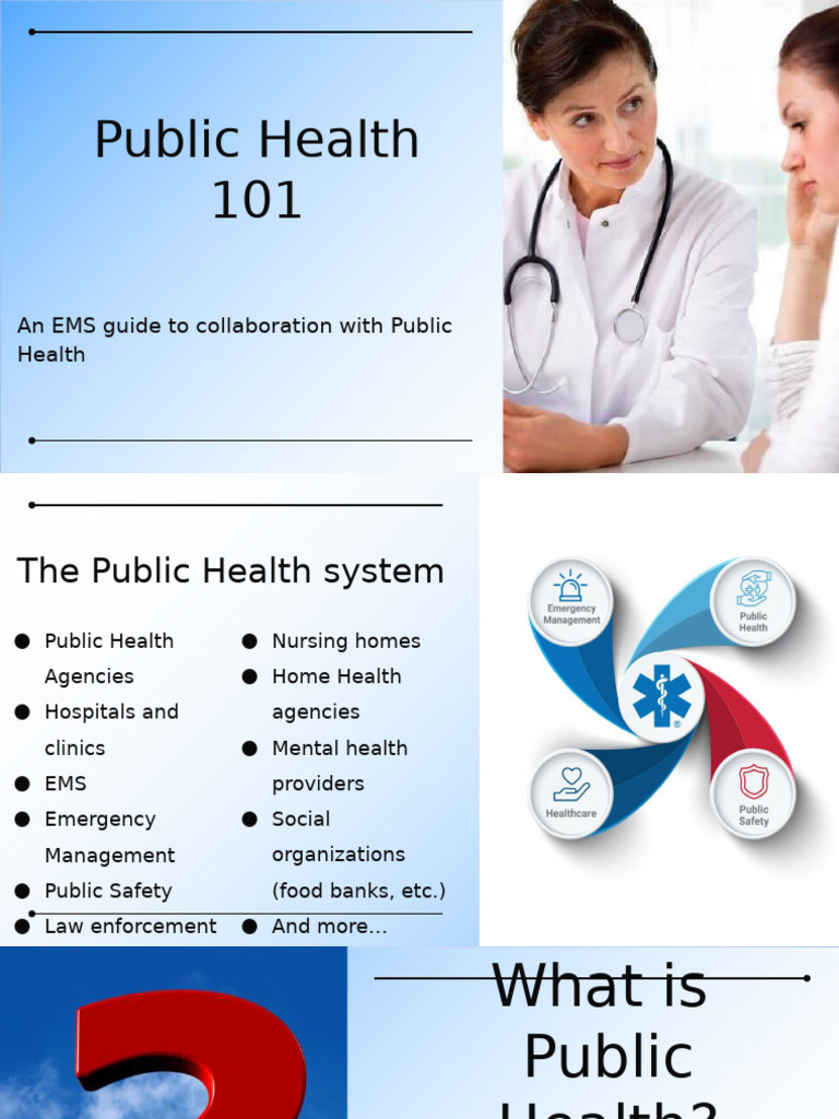Public Health 101- Joni Martin | PDF