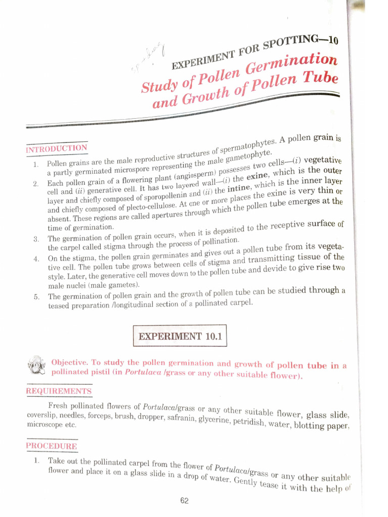 Study of Pollen Germination On Stigma - Spotter | PDF