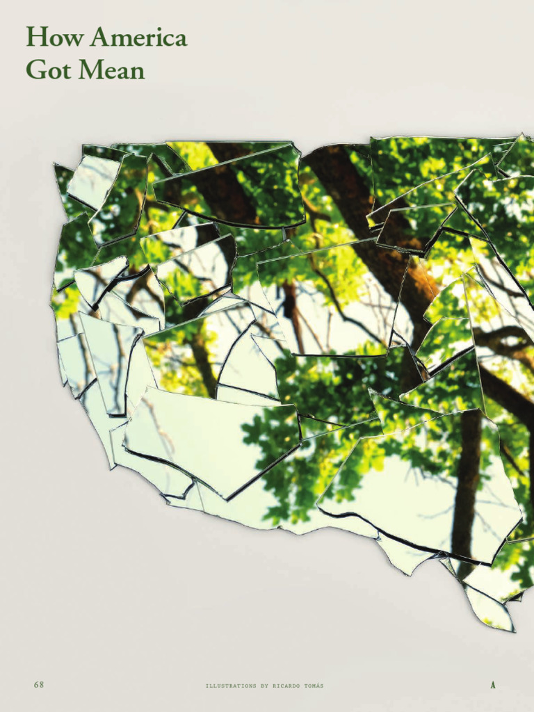 How America Got Mean | PDF