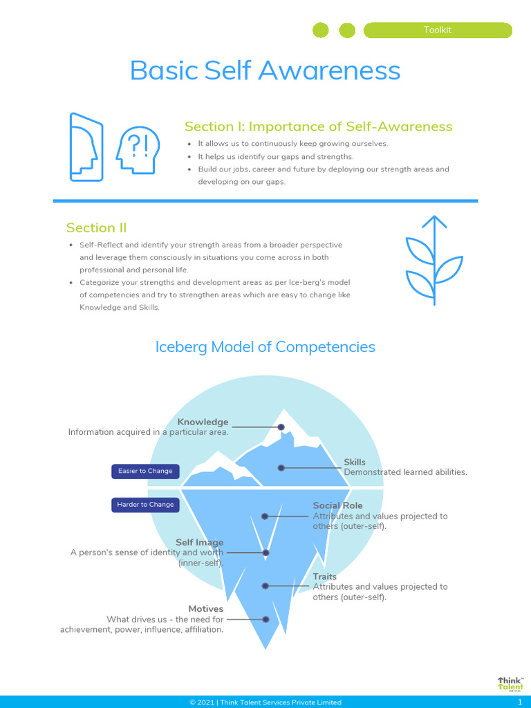 Course 2 - Basic Self Awareness - Tool Kit | PDF