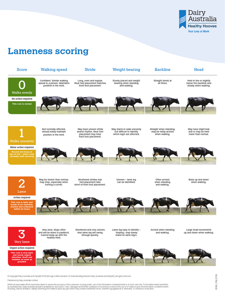 Lameness scoring chart | PDF