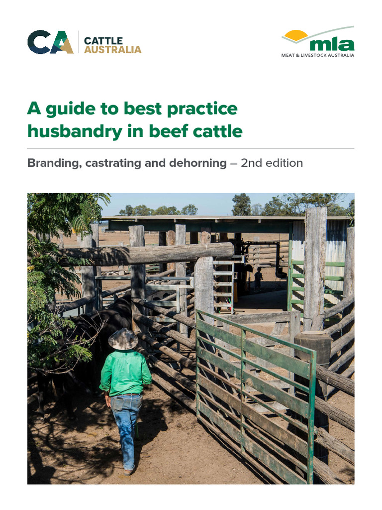 Mla Guide To Best Practice Husbandry in Beef Cattle - Final | PDF