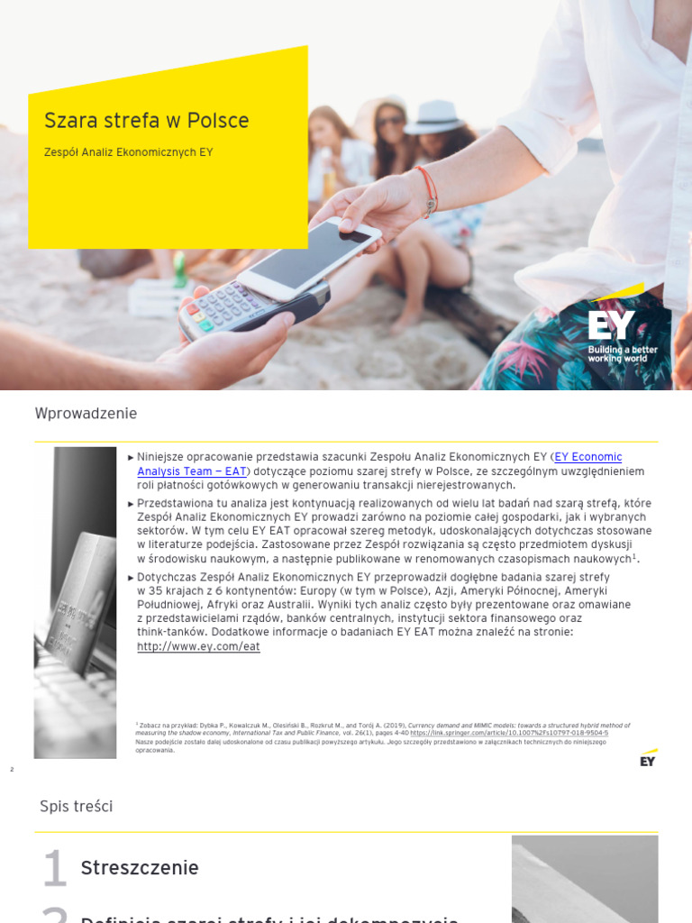 Ey Szara Strefa W Polsce Final | PDF