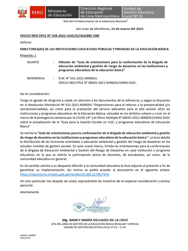 Oficio Múltiple 028-2022-Brigadas EA y GRD | PDF