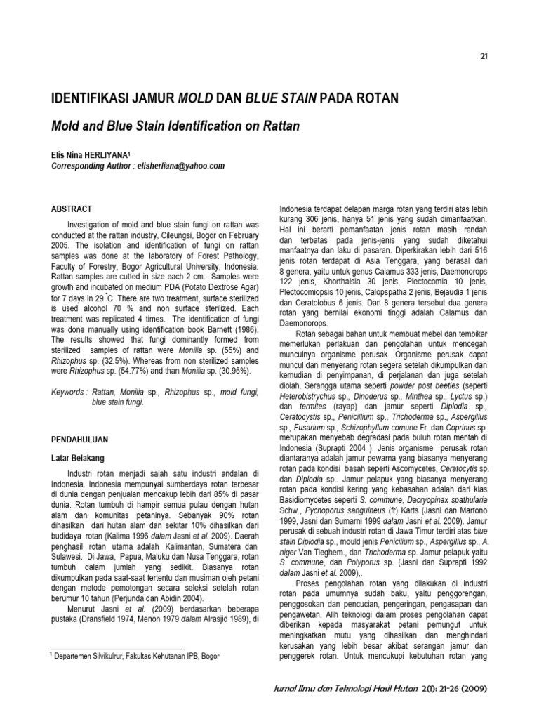 Identifikasi Jamur Mold Dan Blue Stain P | PDF
