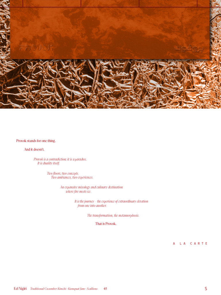 15 - 02 - Provok Menus | PDF