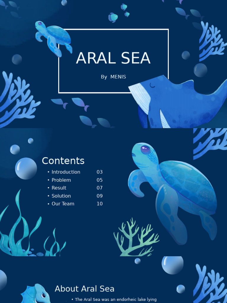 MENIS. Aral Sea | PDF