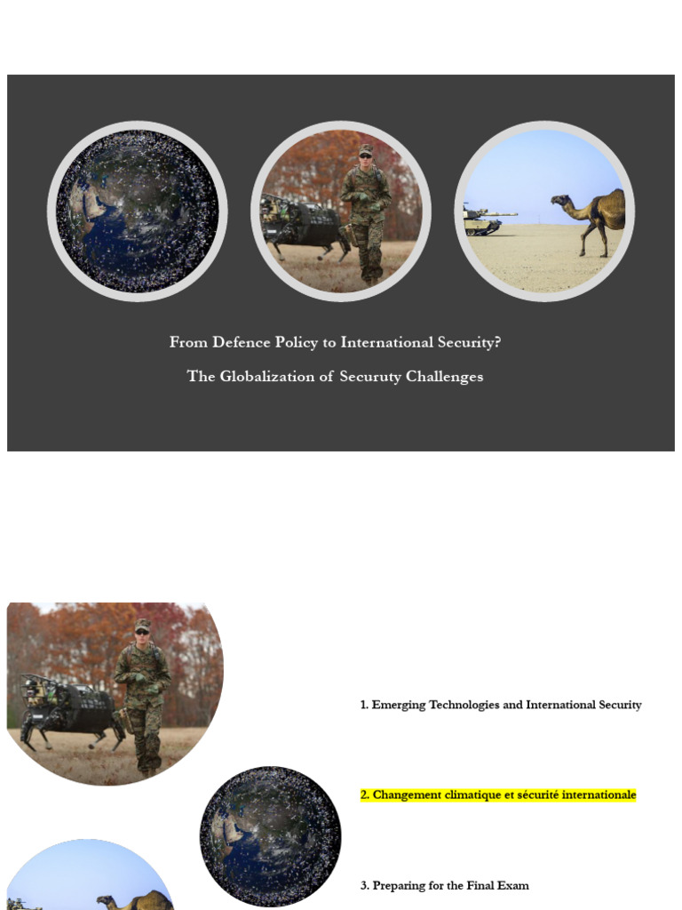 5 - Globalization of Security Challenges | PDF