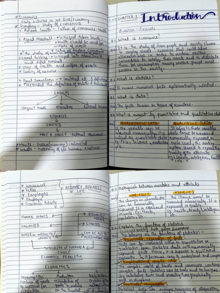 Introduction To Statistics Class 11 | PDF