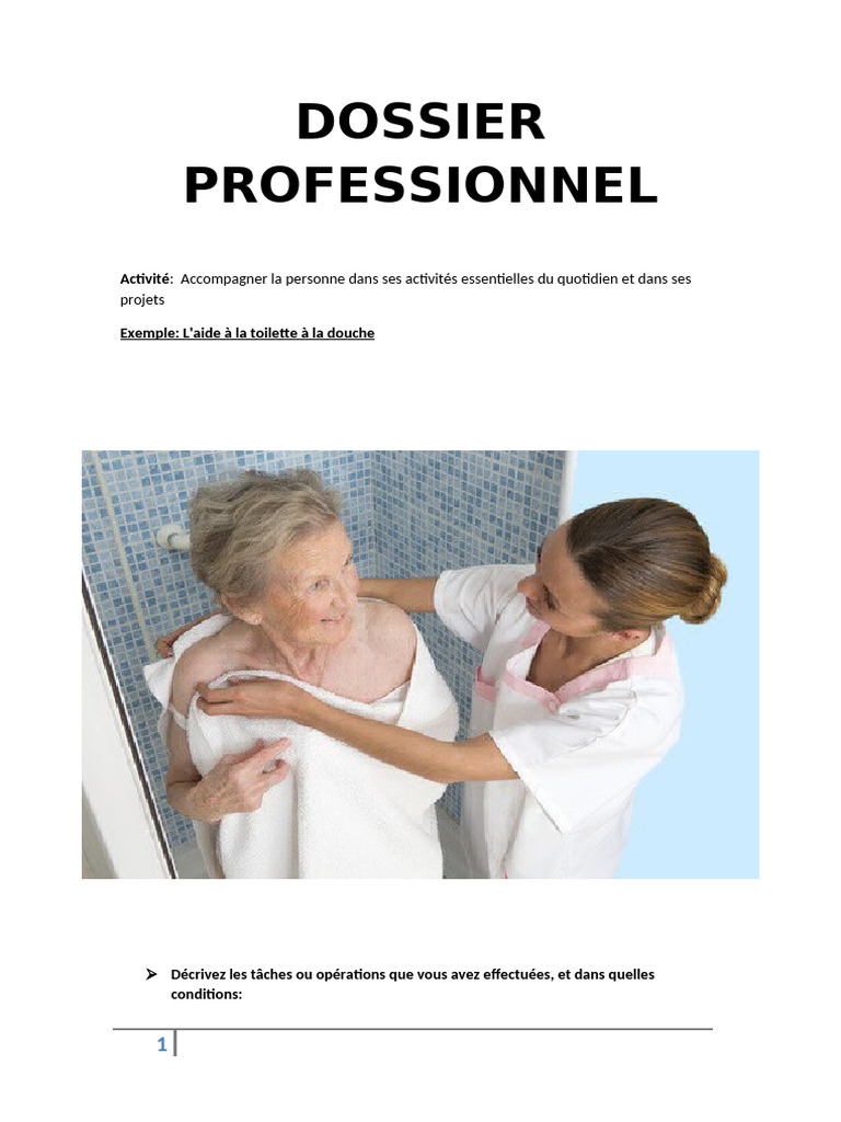 Dossier Professionnel | PDF