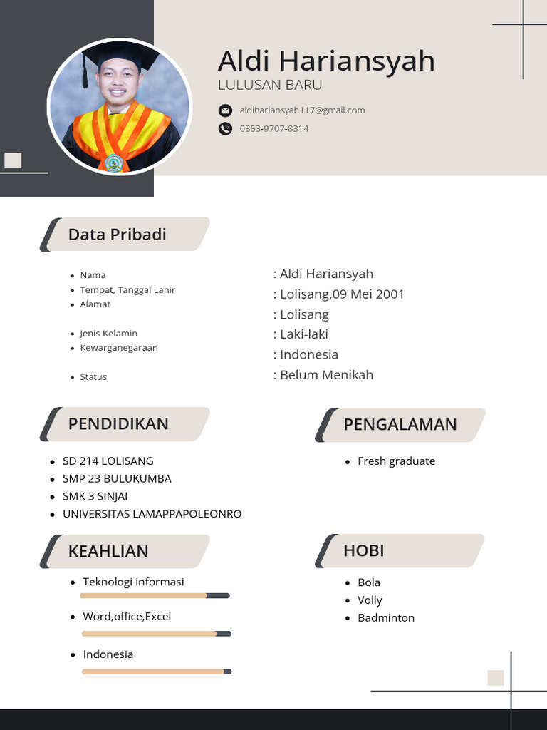 CV Aldi Hariansyah | PDF
