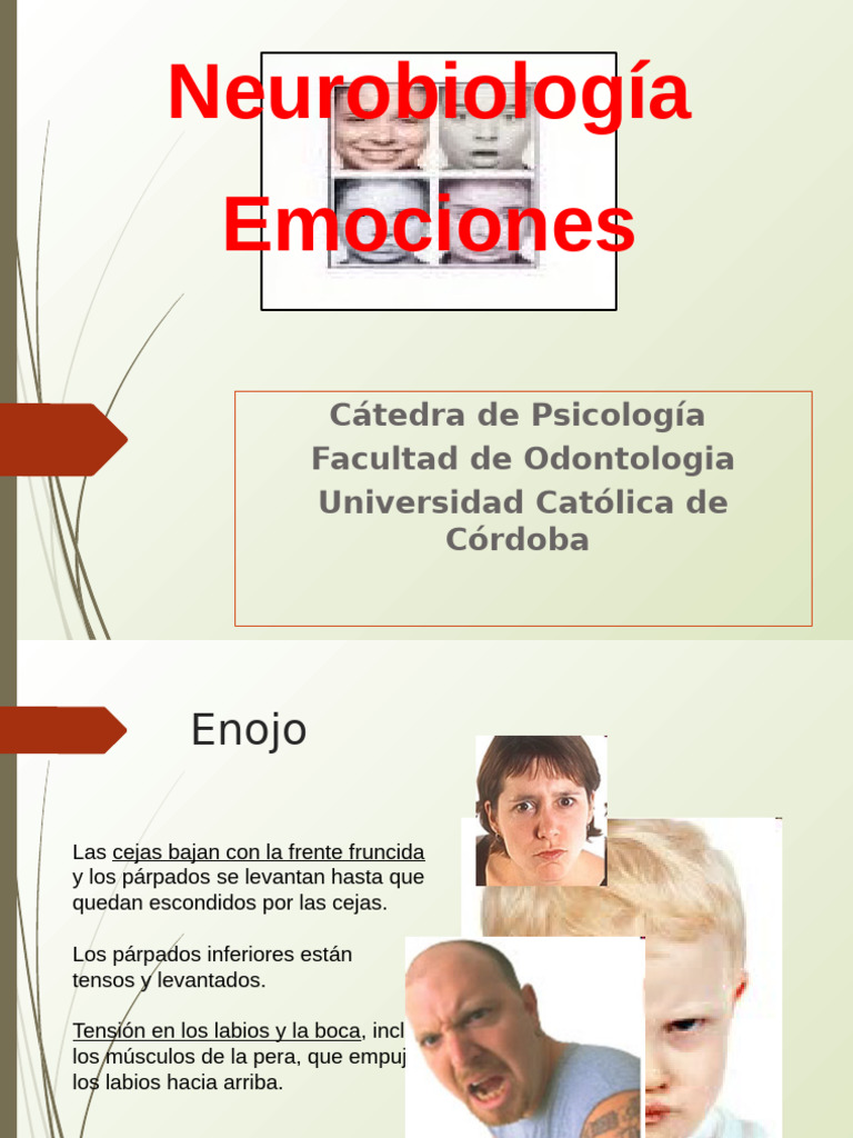 Neurobiologia De Las Emociones Pdf