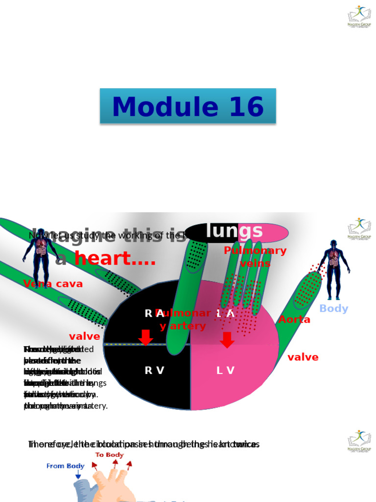 CH-6 BIO Module - 16 | PDF