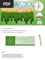 Understanding the Zadoks Growth Scale | PDF | Plant Morphology | Plant ...