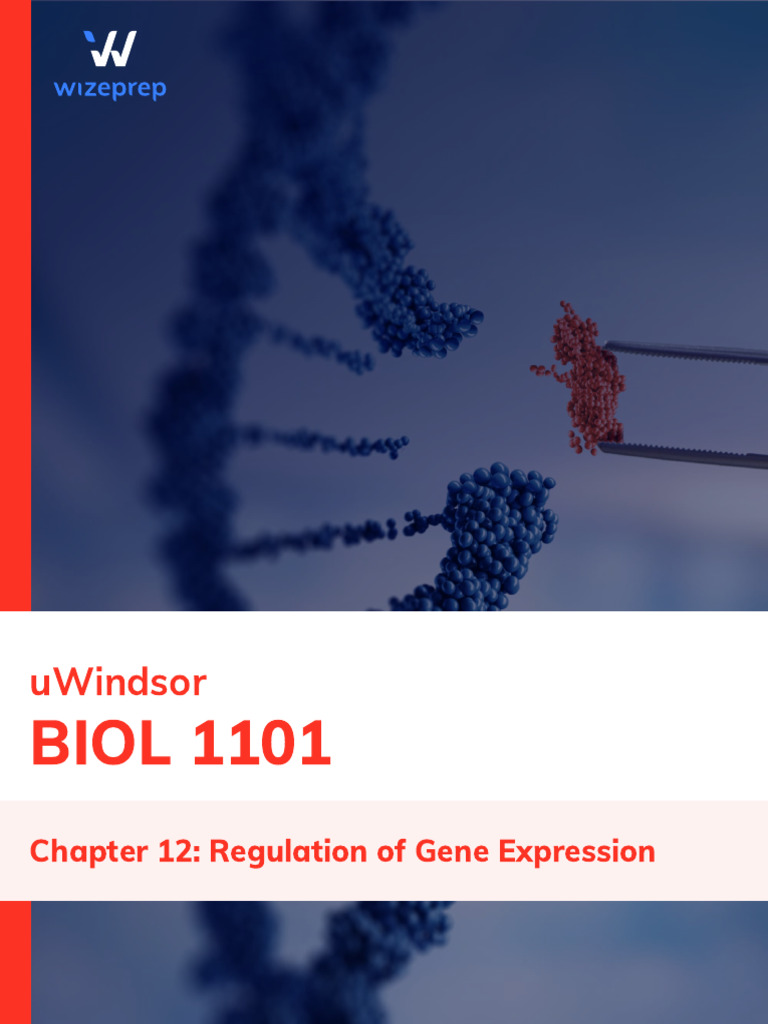 Chap 12 Wizeprep | PDF