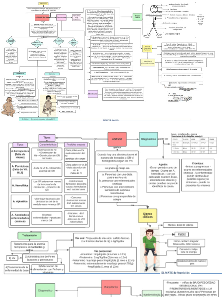 Mapas Fisio Del Niño. Cap 1 y 2 | PDF