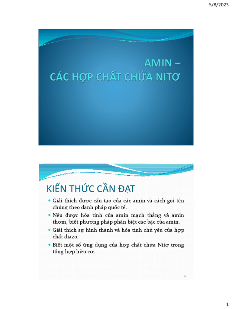Amin | PDF