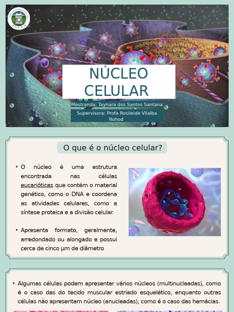 Nucleo Celular | PDF