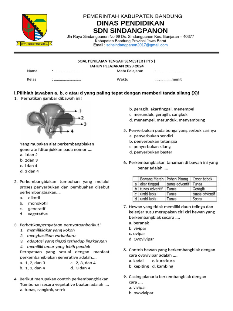 PSTS Ipa SMT 1 | PDF