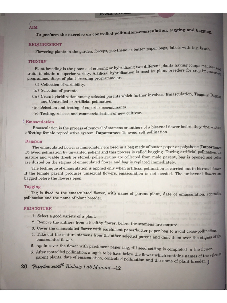 Controlled Pollination and Emasculation, Tagging and Bagging | PDF