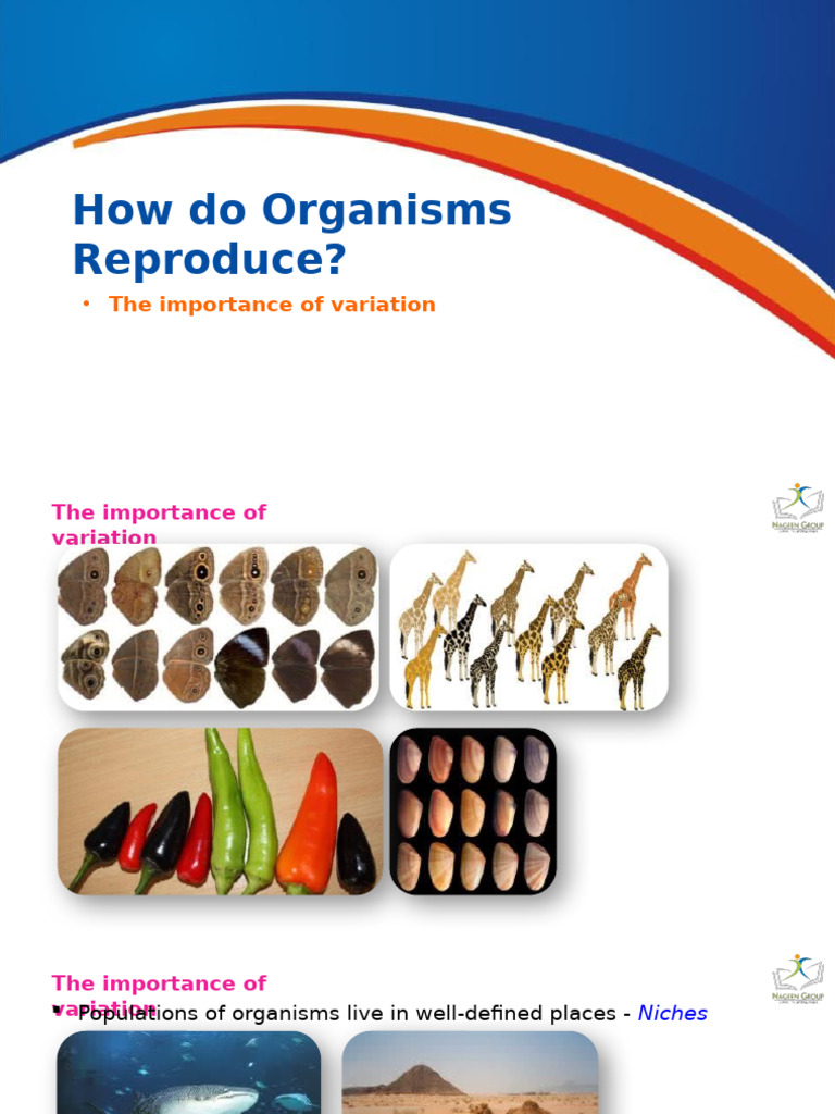 BIO CH-8 Module - 3 | PDF