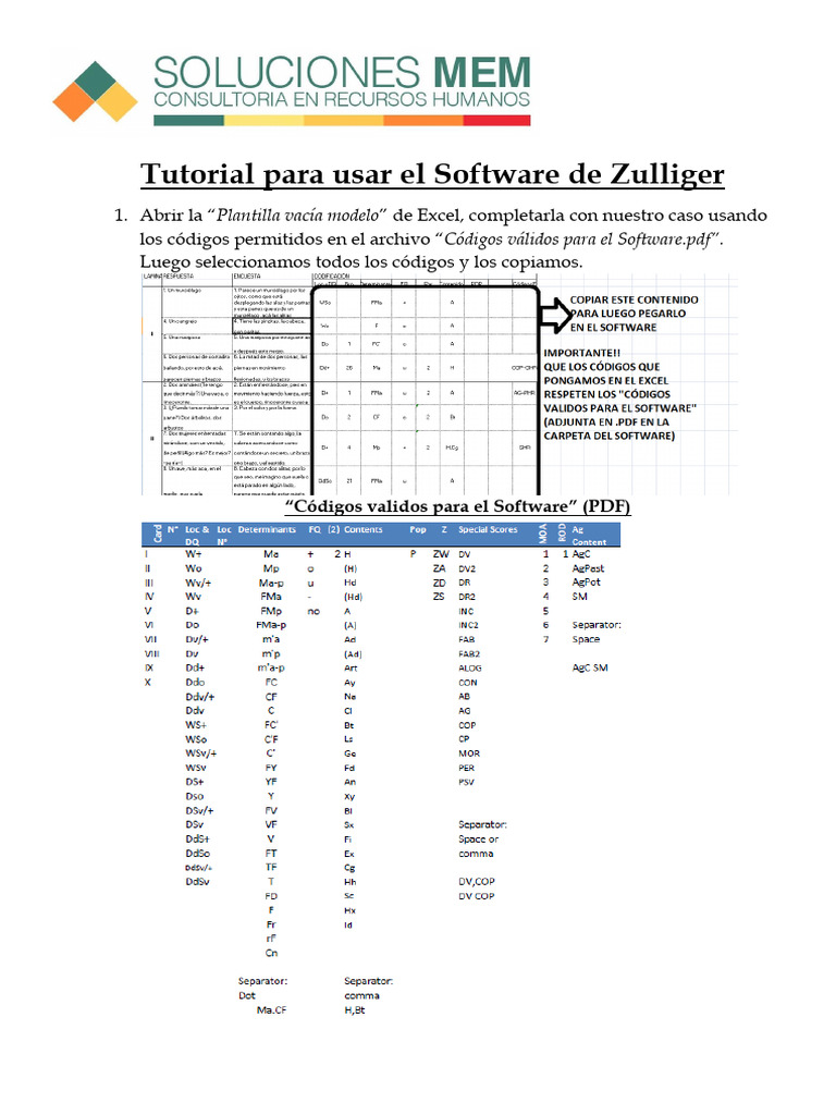 Tutorial Software Zulliger | PDF
