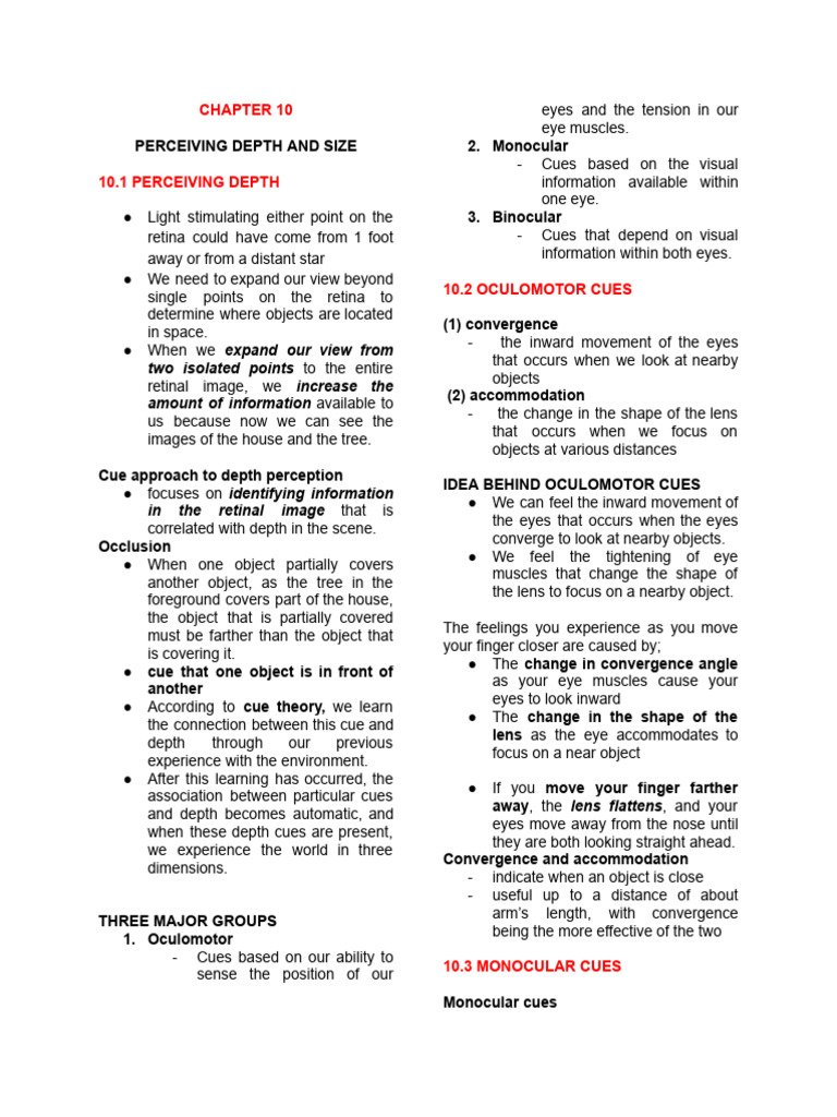 Chapter 10 - Perceiving Depth and Size | PDF