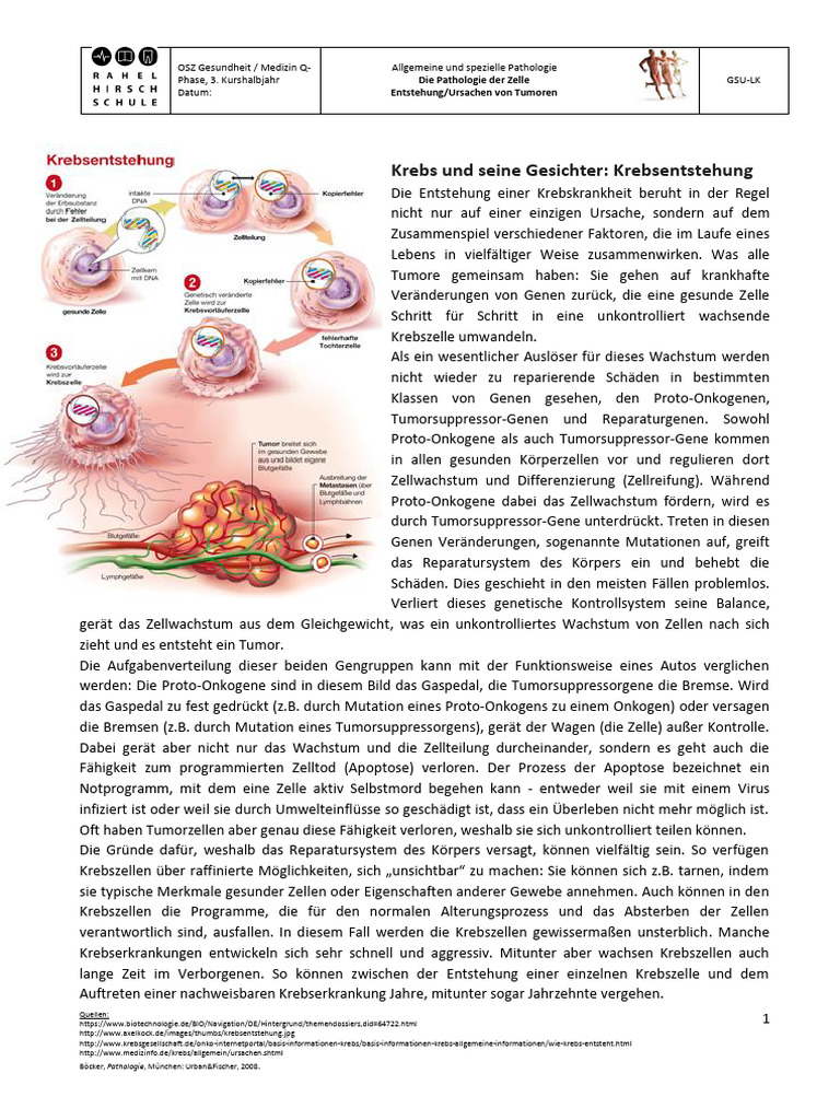 02a Krebsentstehung | PDF