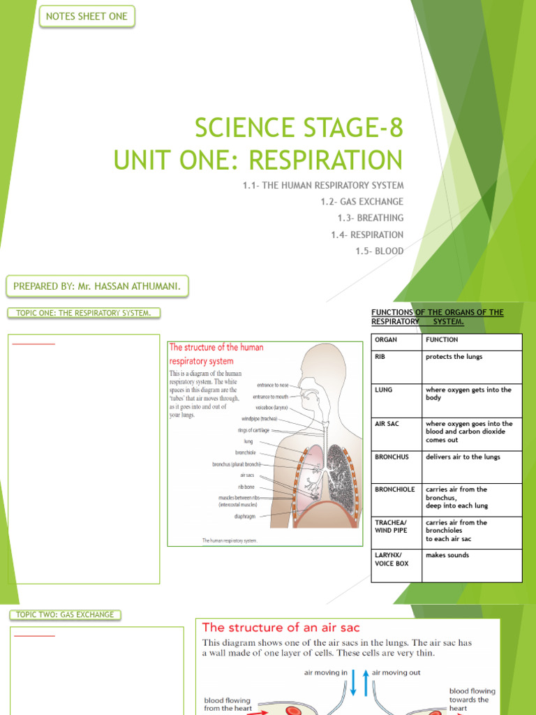 Science Stage-8 Unit One: Respiration | PDF