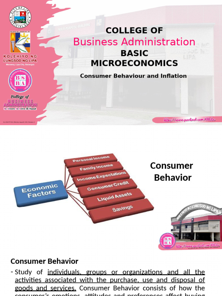 Consumer Behavior Inflation | PDF