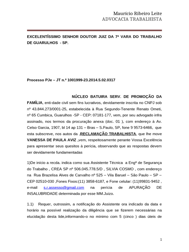 Quesitos VANESSA DE PAULA AVIZ | PDF