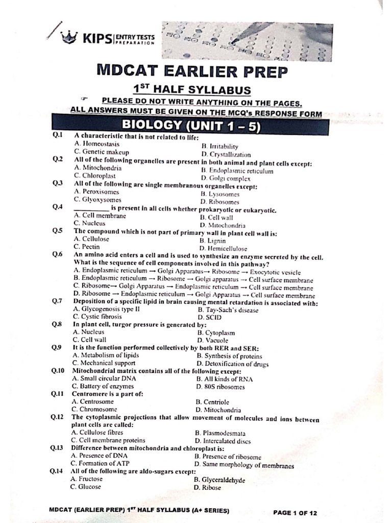 KIPS 2024 FLP 1st Half A Series | PDF