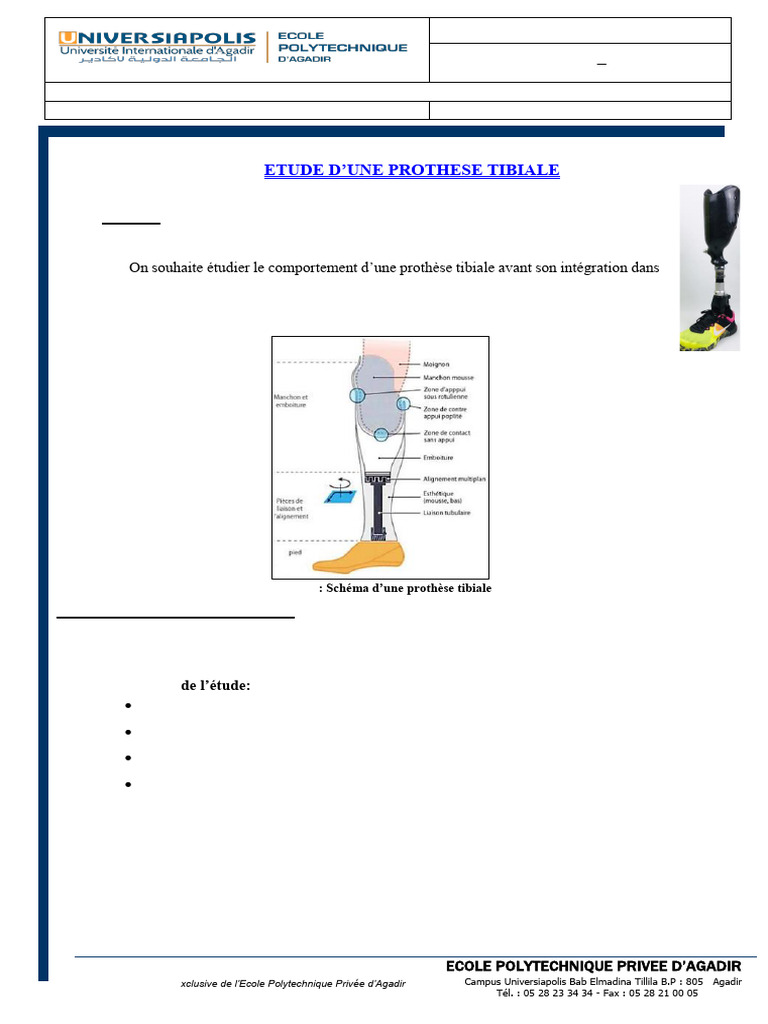 BIO4011 - TD1 CHAPITRE 5 Modélisation Biomécanique | PDF