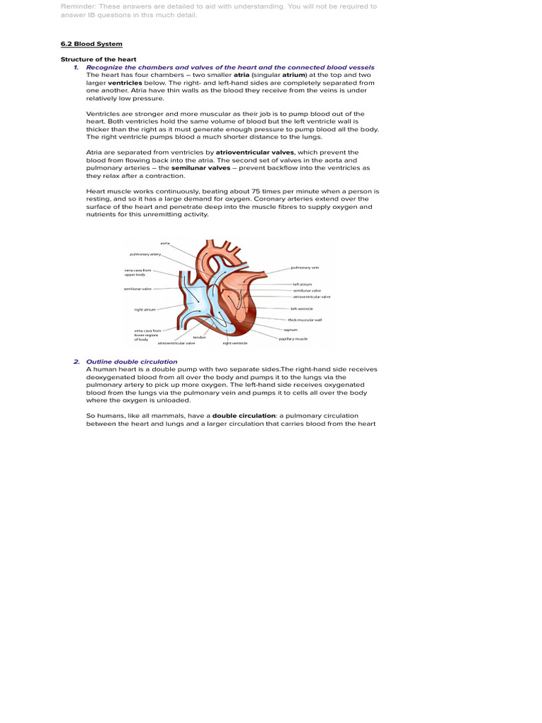 Ib Bio Notes 6.2 | PDF