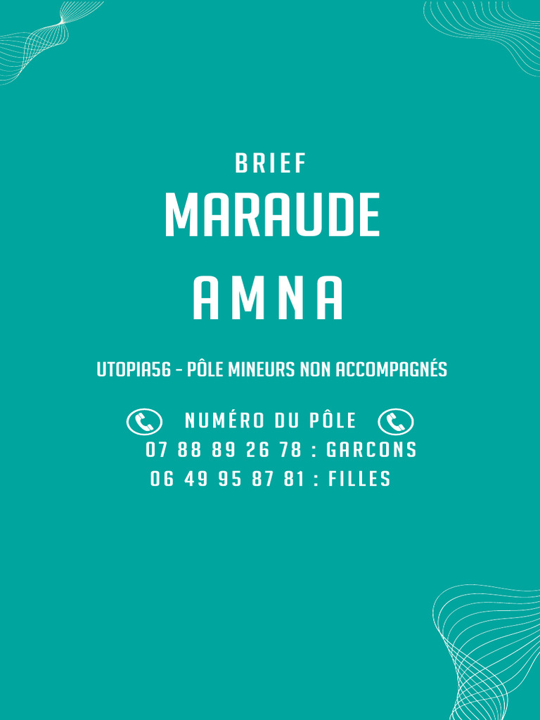 Brief Amna | PDF