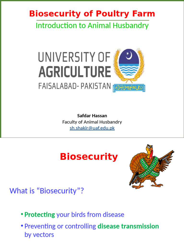 6 Biosecurity Of Poultry Farm Pdf