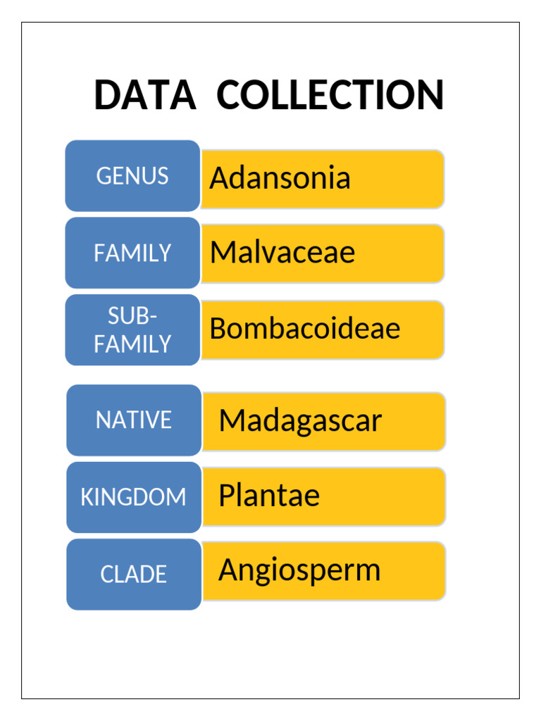 Data Collection | PDF