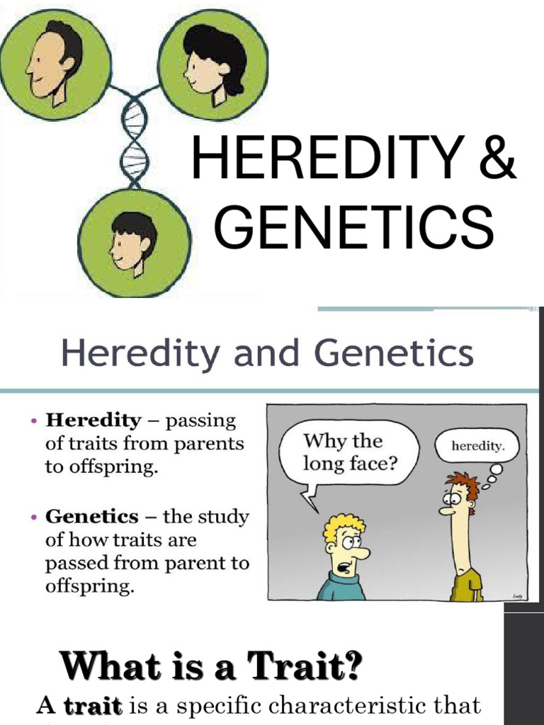 Heredity And Genetics Pdf