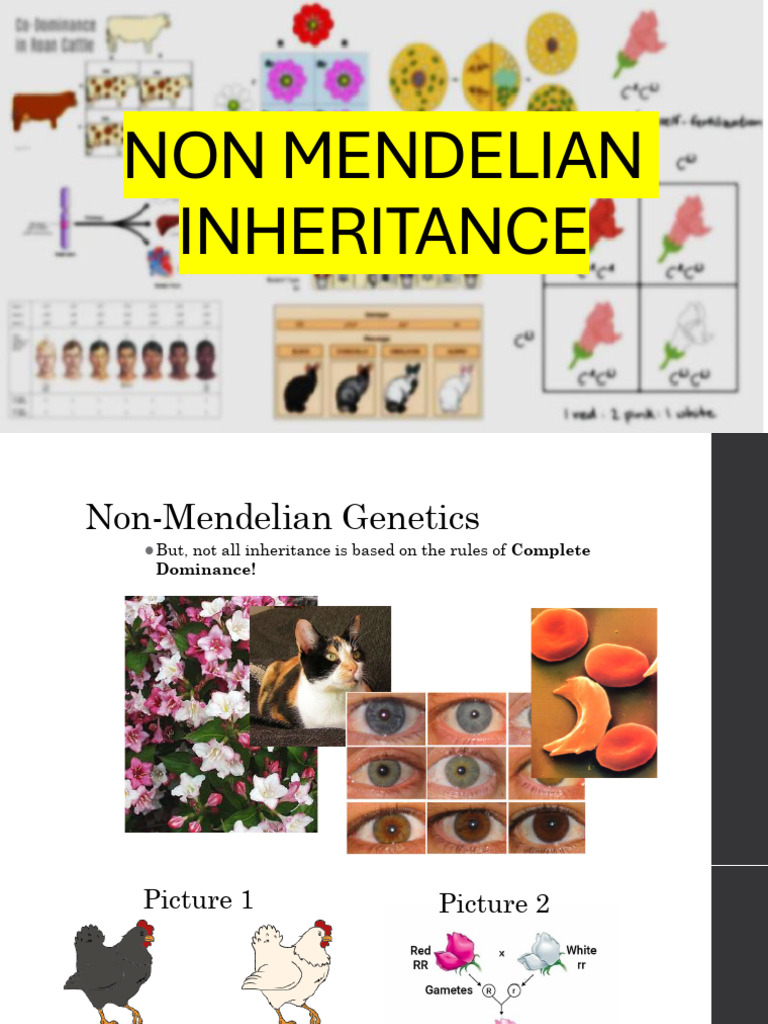 Non Mendelian Inheritance | PDF
