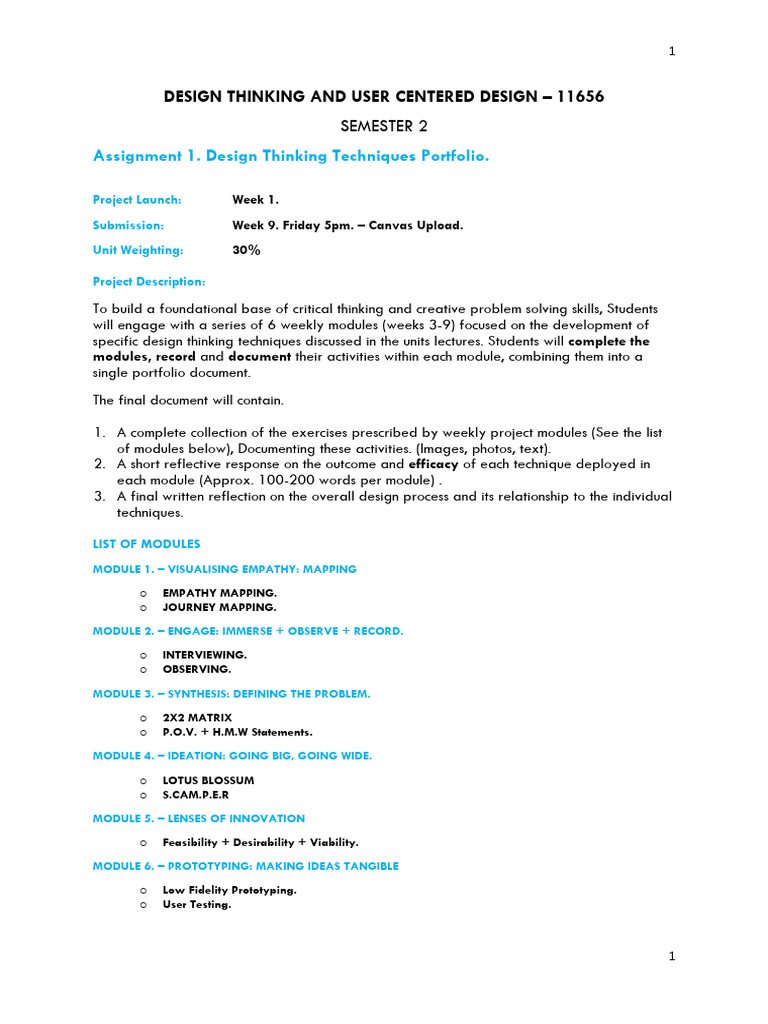 Design Thinking Portfolio Brief | PDF