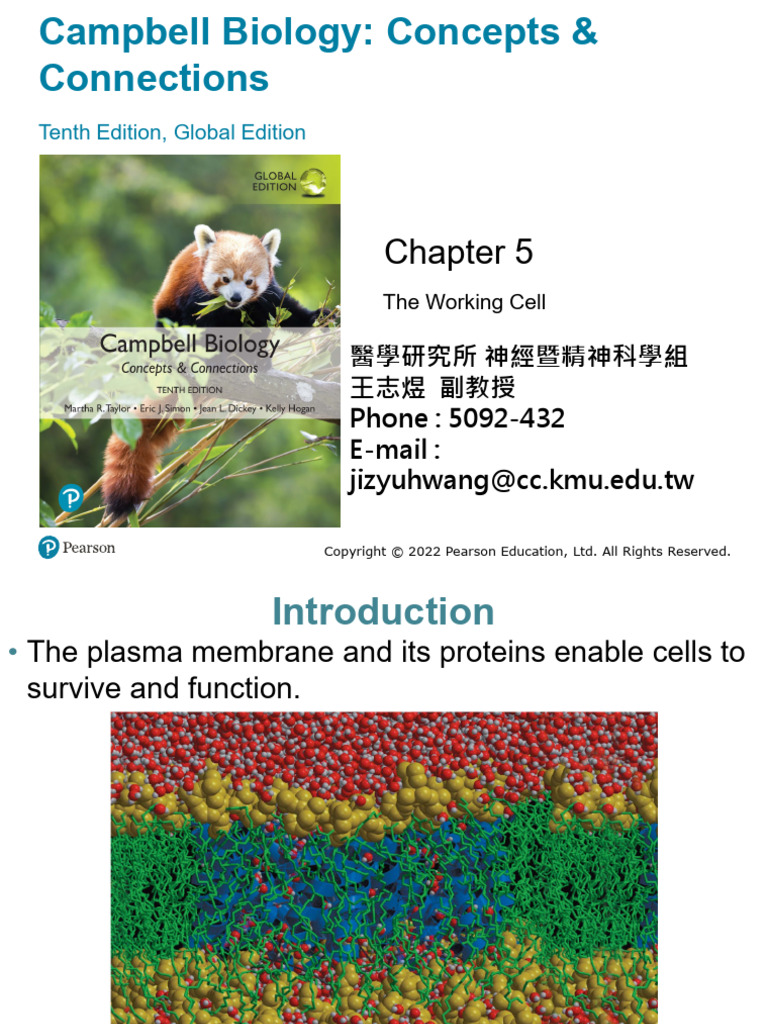 5-The Working Cell-10th | PDF