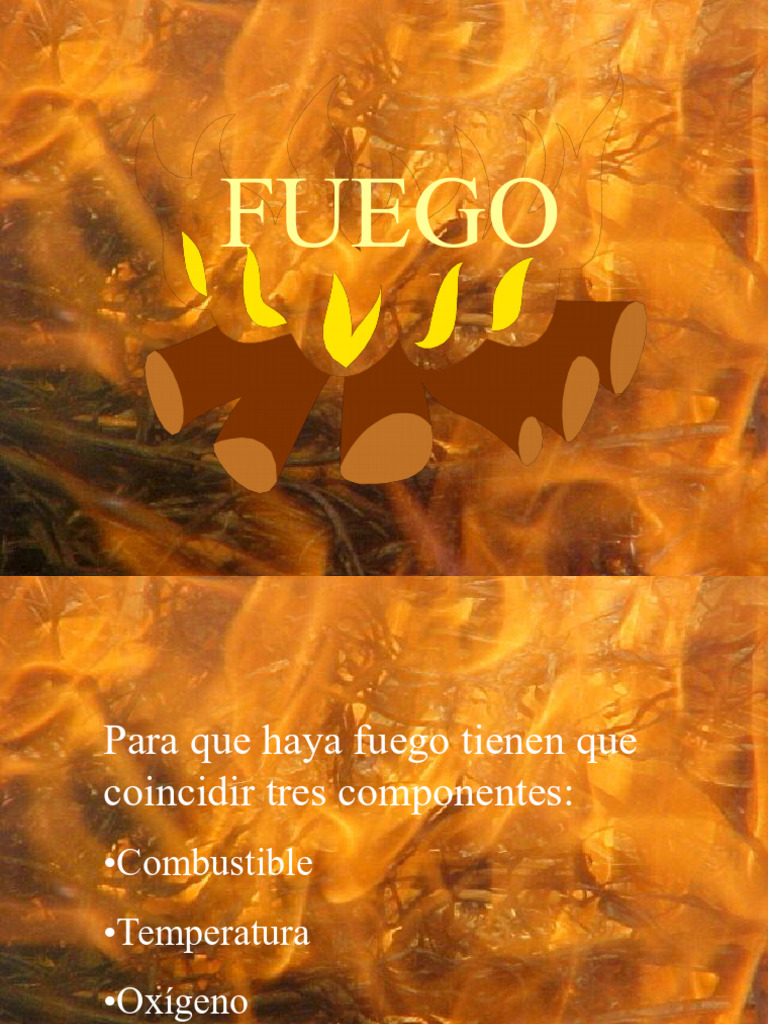 Efecto de L Fuego | PDF