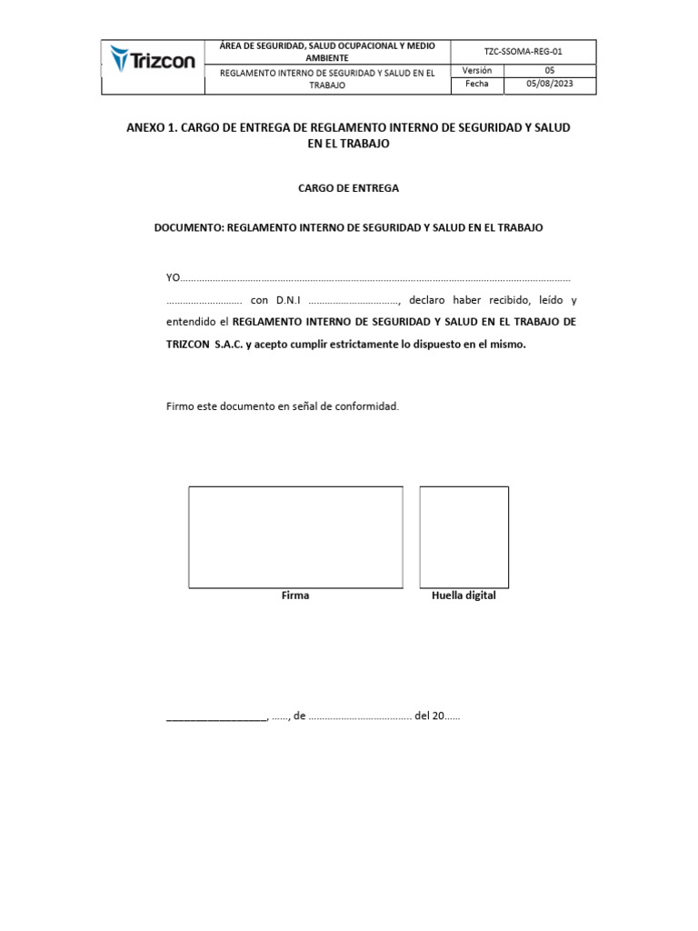 3.3.1. Cargo de RISST - Trizcon. | PDF