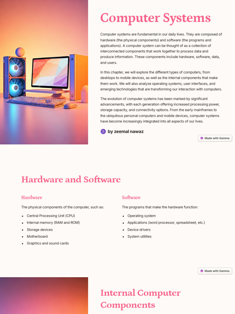Computer Systems | PDF