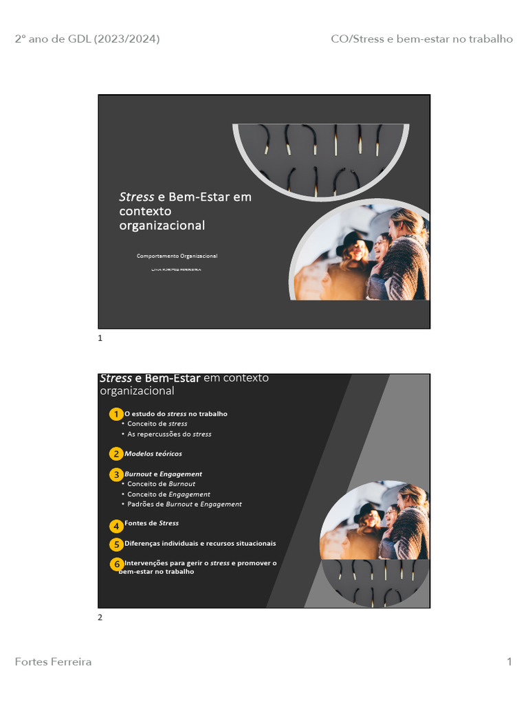 Tema 3 - Stress e Bem-Estar - 2023 - 24 | PDF