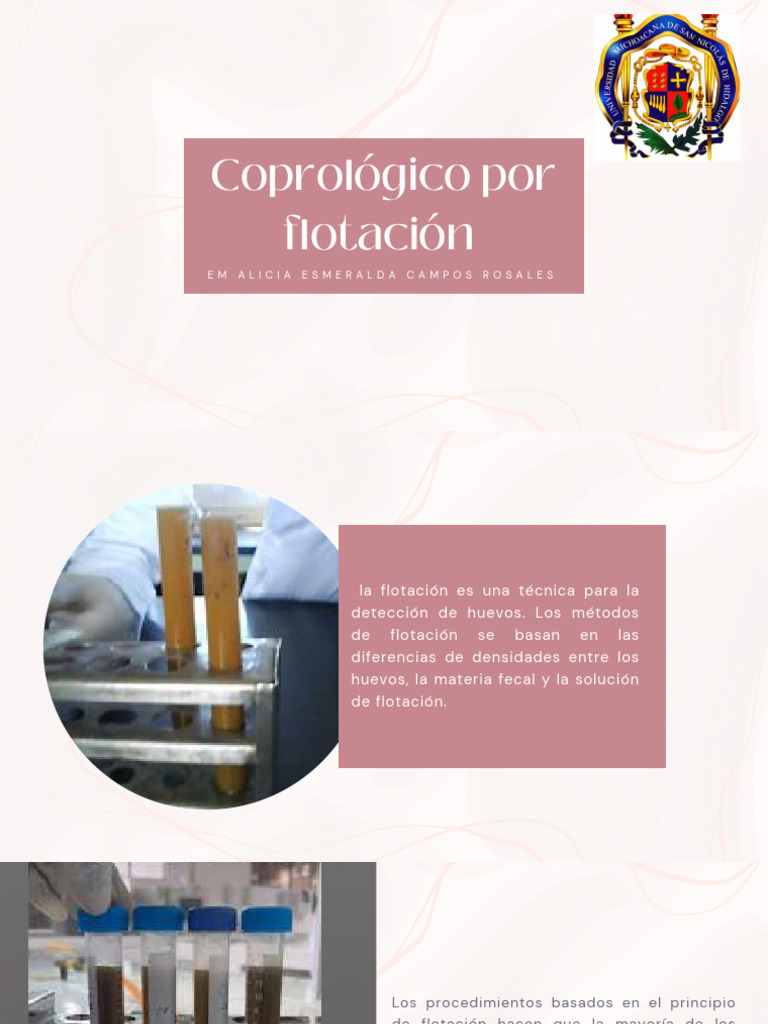Coprológico Por Flotación | PDF